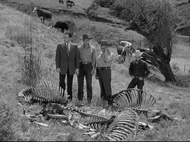 Big Bug Movies of the 1950s – Claws & Saucers